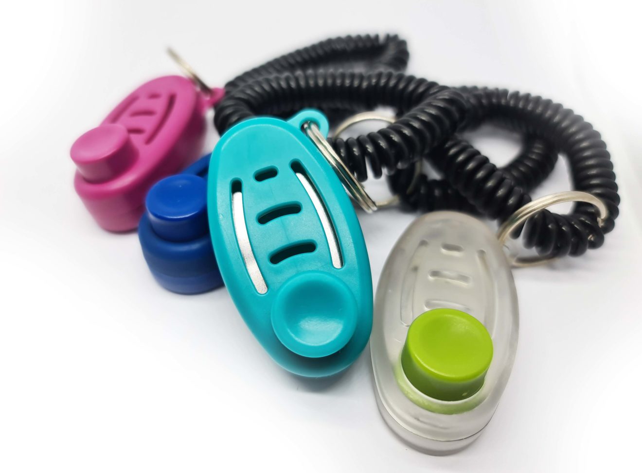 Button Clicker – Melli4Dogs Shop